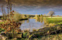 What’s On | Local events and things to do in Studley