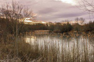 What’s On | Local events and things to do in Studley