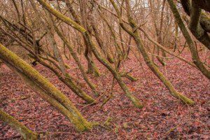 What’s On | Local events and things to do in Studley