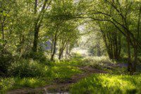 What’s On | Local events and things to do in Studley