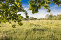 What’s On | Local events and things to do in Studley