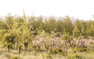 What’s On | Local events and things to do in Studley