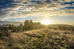 What’s On | Local events and things to do in Studley