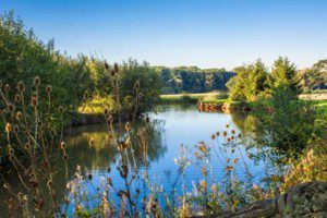 What’s On | Local events and things to do in Studley