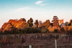 What’s On | Local events and things to do in Studley